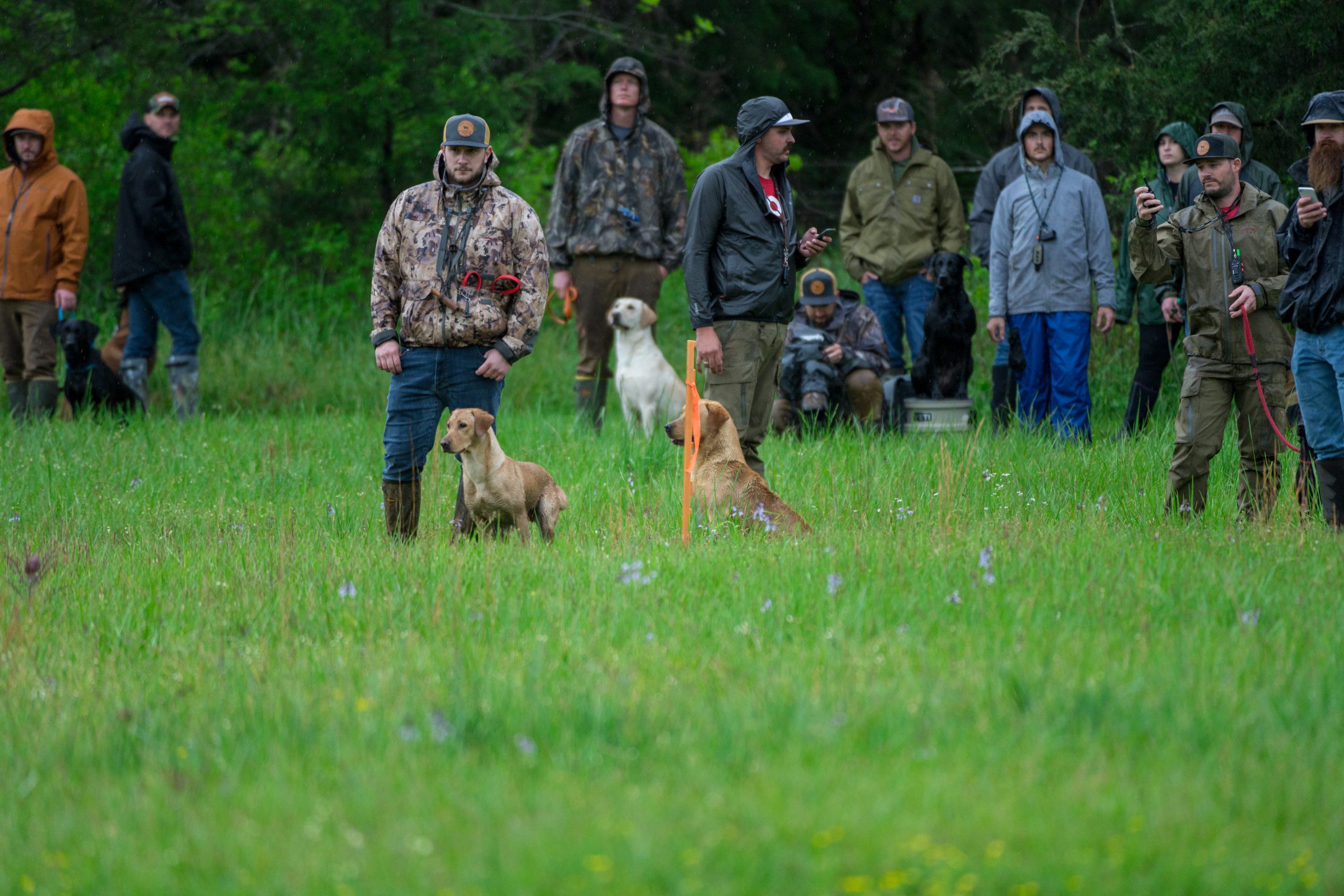 Southern Oak Kennels Summit - Southern Oak Kennels